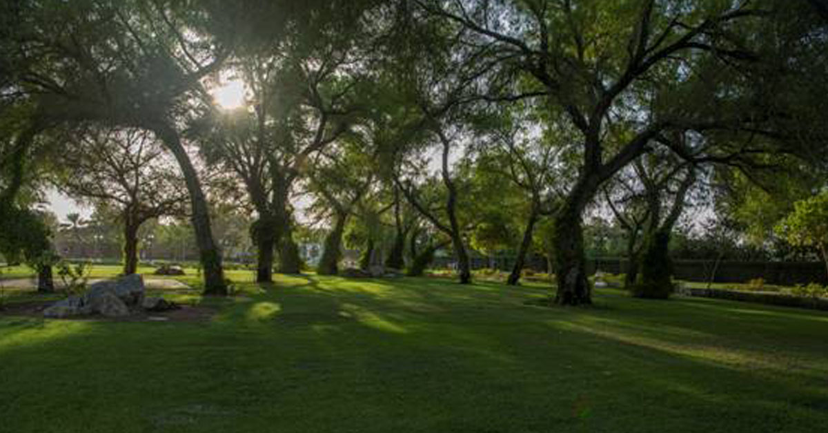 World Environment Day - Untouched, pristine beauty - Black & White Oman